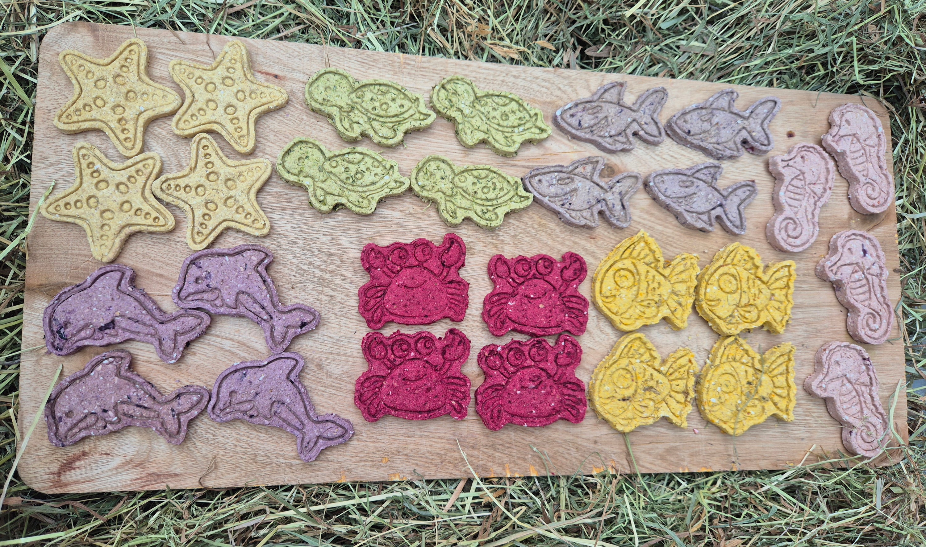 Hop Flop & Roll – Hop Flop & Roll