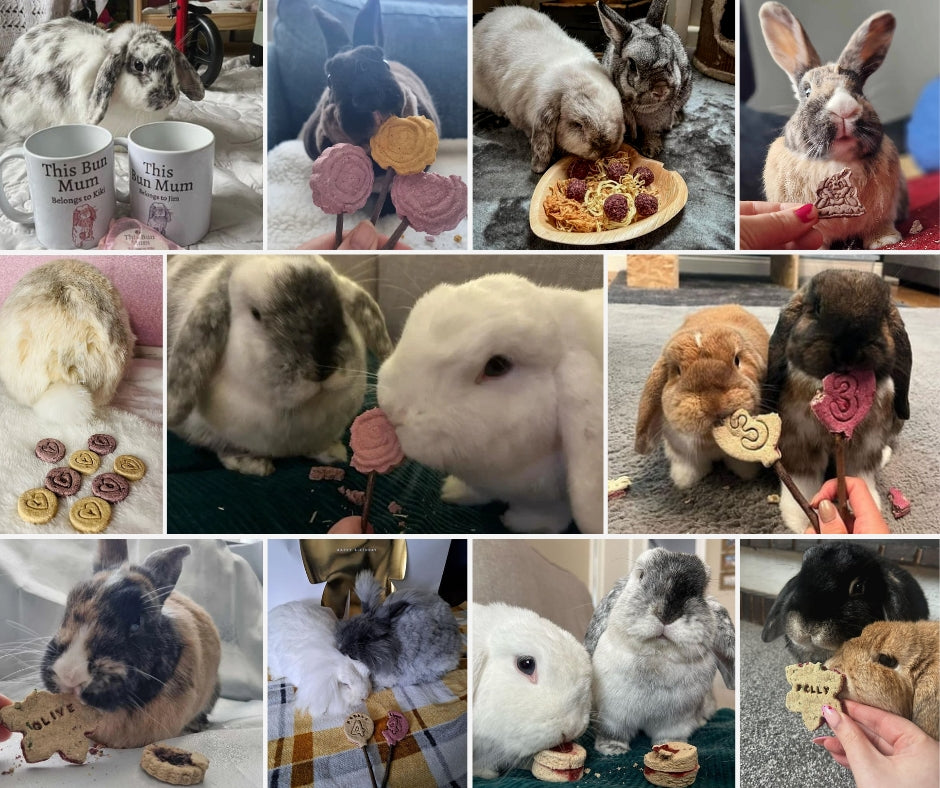 Hop Flop & Roll – Hop Flop & Roll